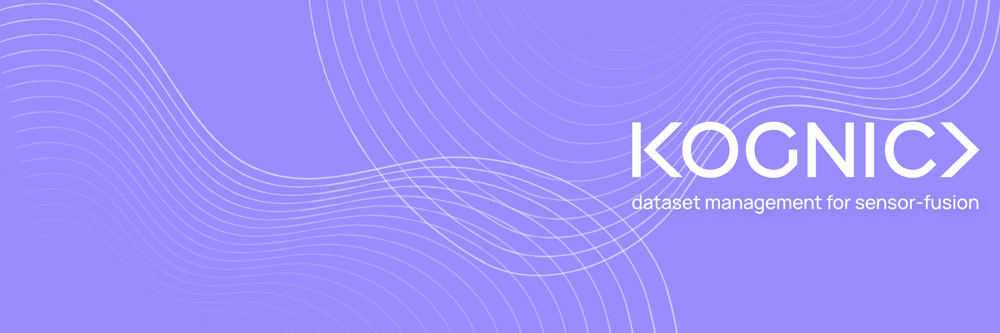 Introducing The Kognic Platform