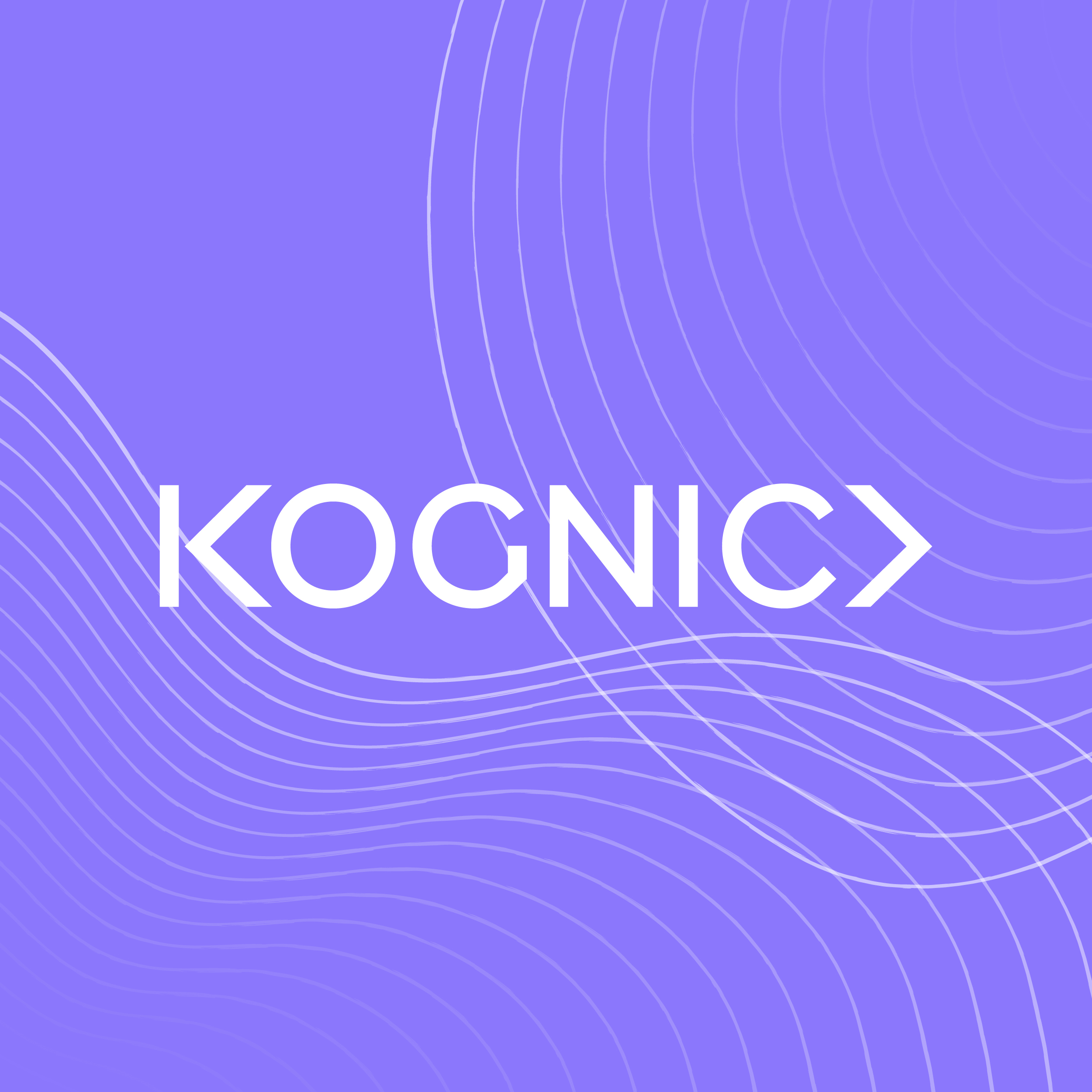 Introducing The Kognic Platform